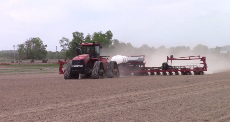 Case IH 450 RowTrac Planting Corn