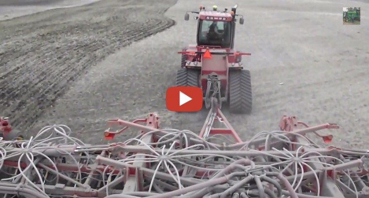Seeding wheat with Case IH Steiger Quadtrac 535 4wd tractor in ...