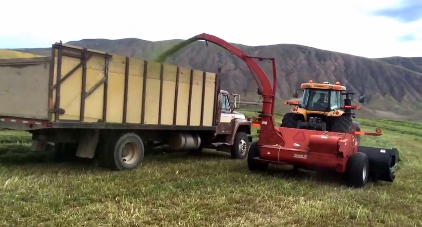 Cactus Country Farms Alfalfa Silage June 2014 w/ Challenger MT 585D and ...