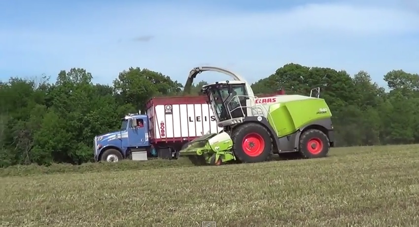 Chopping first cutting hay near Cashton in Wisconsin with a Claas 940