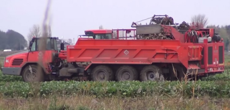 Larrington Trailers, Terex Sugar Beet chaser loader, ejector discharge.