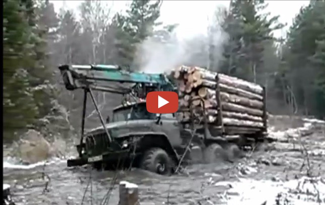 Timber Truck Driver Level: Boss