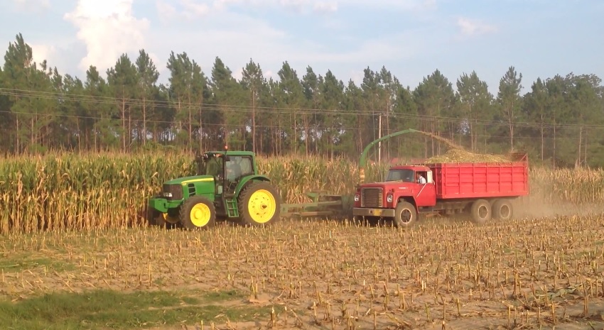 Stewart Farms: Harvesting Silage 2014