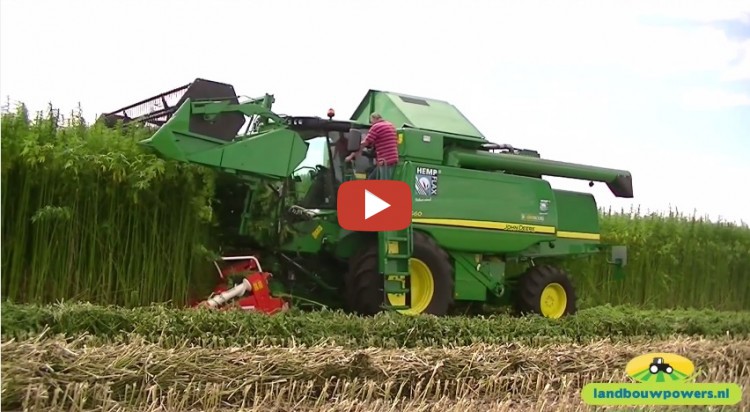Hemp Harvest. New HempFlax Double Cut Combine - John Deere W660