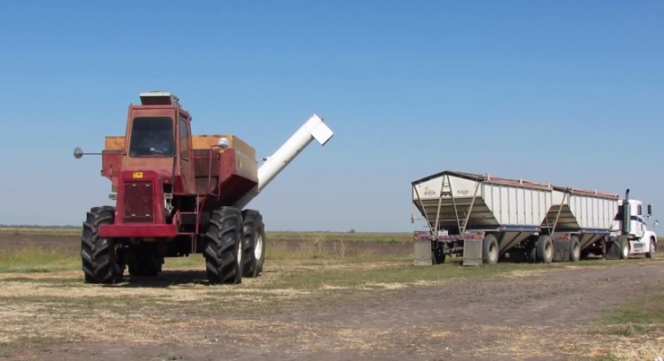 A bankout wagon places rough rice in a trailer and gets back to the ...