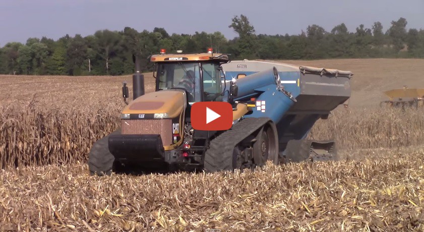 CAT Lexion 595R Harvesting Corn Up Hill