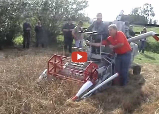 Mini combine at work.