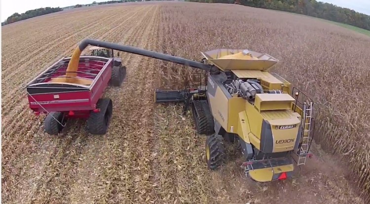 Corn Harvest 2014 TK Farm P1352AMX 230 Bu Ac Darke Co Ohio