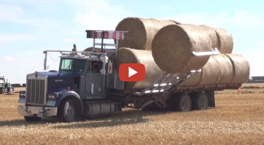 Loading Big Round Straw Bales