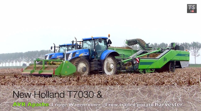 Potato Harvest | New Holland T7.220/T7030 / AVR Apache 4 row trailed ...