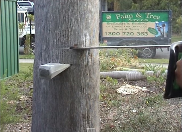 Tongue and Groove Tree Felling Technique
