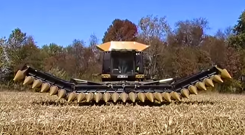 Folding 24 row corn head