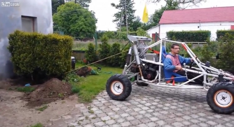 Buggy vs Bush
