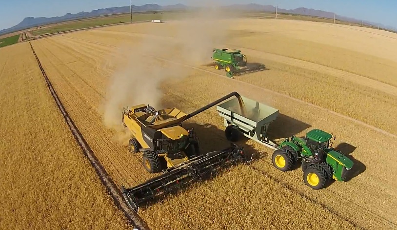 Barley Harvest 2015 Sunset Farms Paloma Dairy