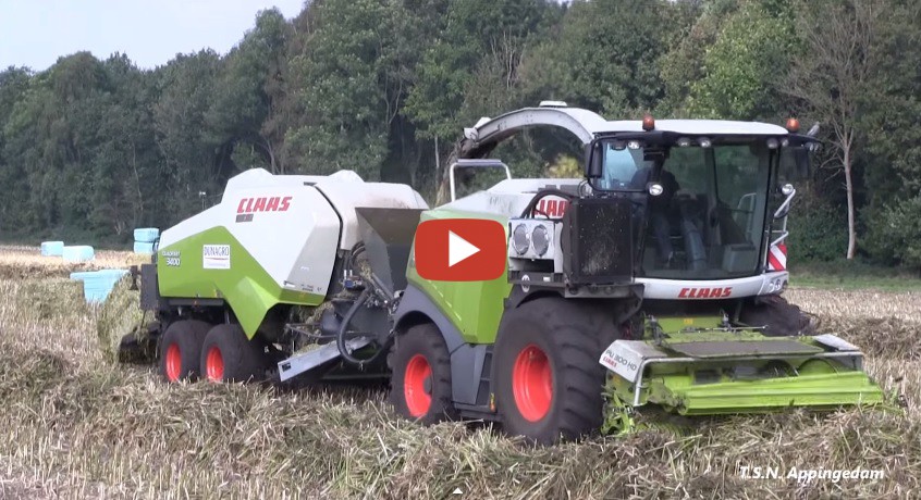 Choppng and baling hemp straw in one pass.