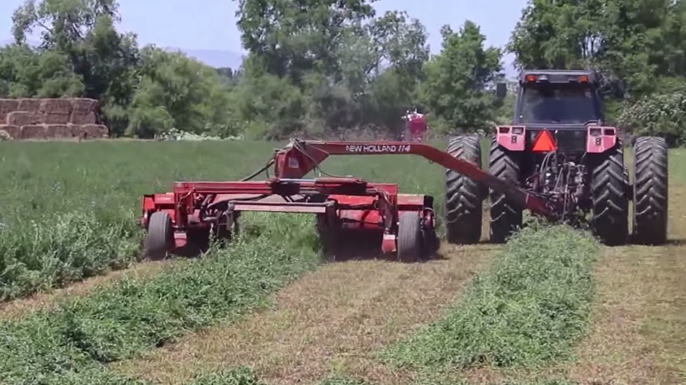 Cutting hay with New Holland 114 swather. -Dismal Land and Livestock ...
