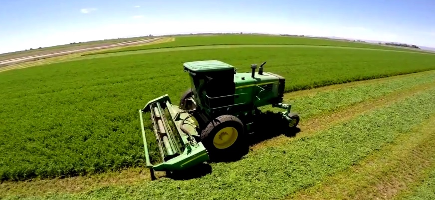 John Deere is mowing alfalfa.