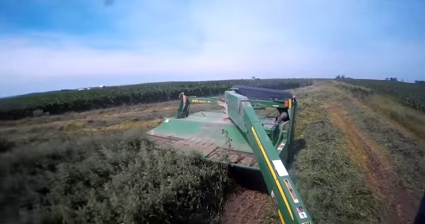Mowing Oats/Weeds With a JD 4440 and a JD 835 MoCo. -iowadairyboys-