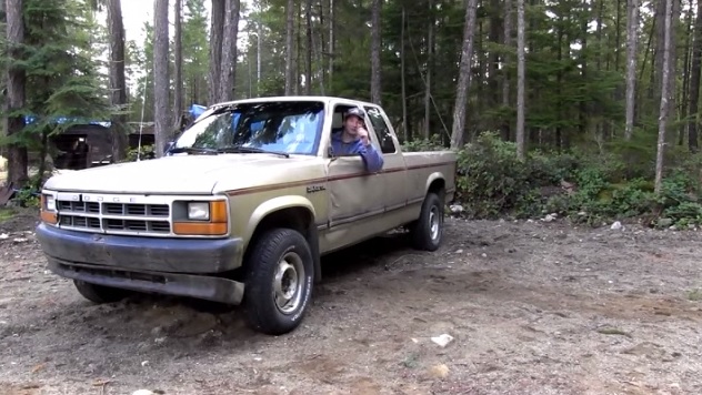 Tree Falling "Crushes Truck" !!! Cutting a tree down safely and some of ...