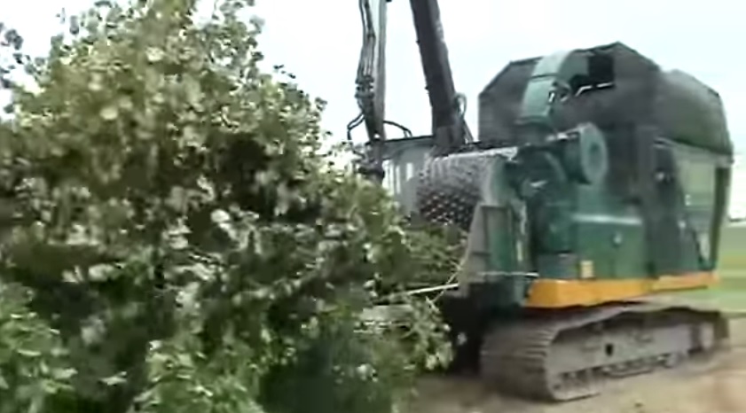 Tree eating machine.