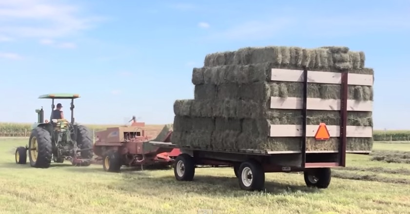 Summertime Hay Baling. -From the Farm Table-