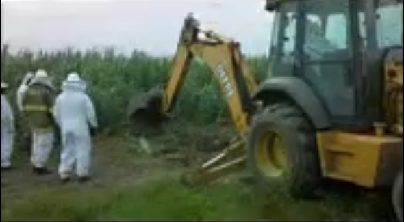 third-generation Texas farmer was killed when a swarm of angry bees ...