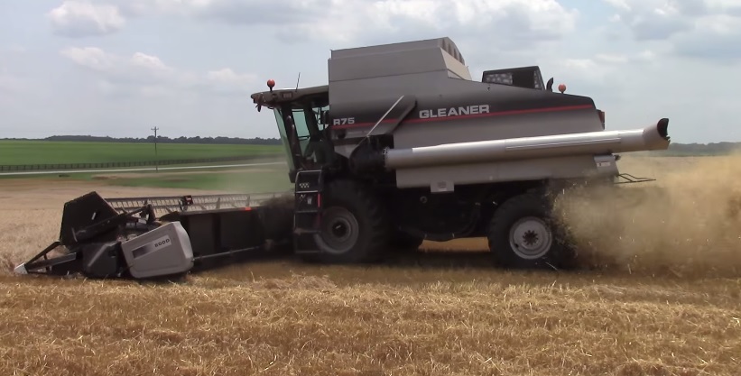 Gleaner R75 Combine harvesting winter wheat. -bigtractorpower-