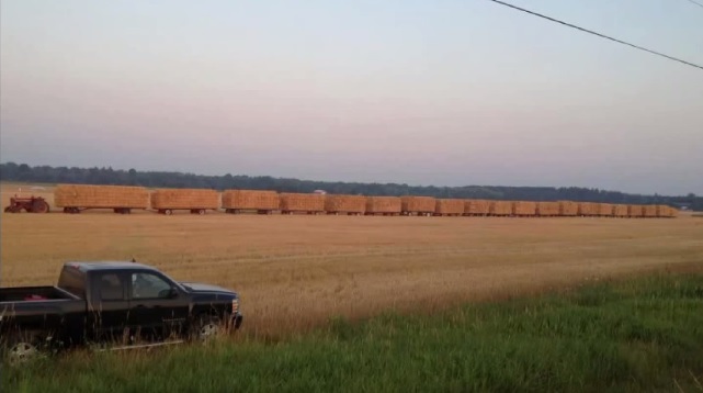 IHC 1206 Tractor Pulling 20 Loaded Hay Racks - Chuck Timm
