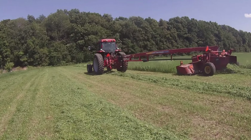 Mowing 3rd cutting alfalfa (for chopping) -Monhaut Holsteins-