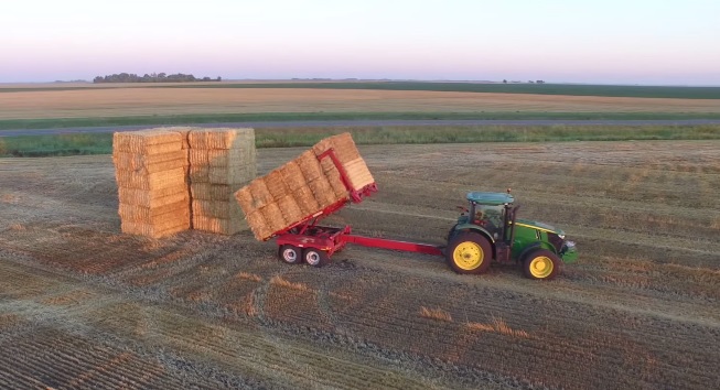 Malecha Farms baling wheat straw near Breckenridge Minnesota for use as ...