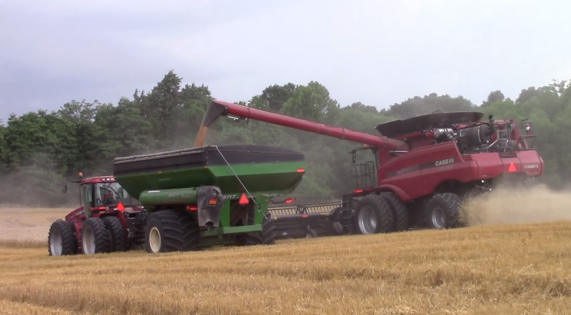 Case IH 335 STEIGER on Grain Cart Duty with a Brent 1282 keeping two ...