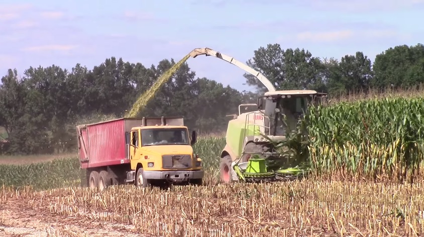 CLAAS Jaguar 960 Chopping Corn. -bigtractorpower-