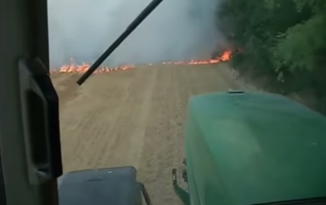 Grainfield on fire