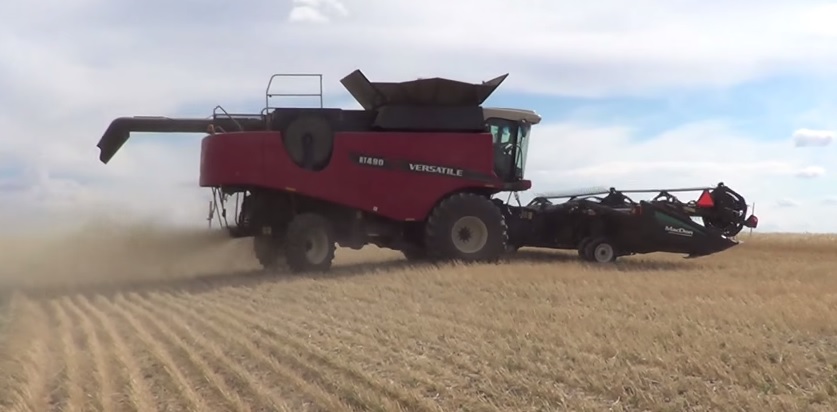 2015 Wheat Harvest Redstone Montana. A Versatile RT490 combine and John ...