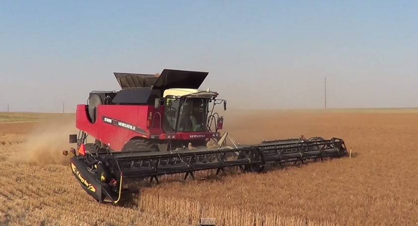 2015 Wheat Harvest - Cut Bank Montana with two Versatile RT490 Combine ...