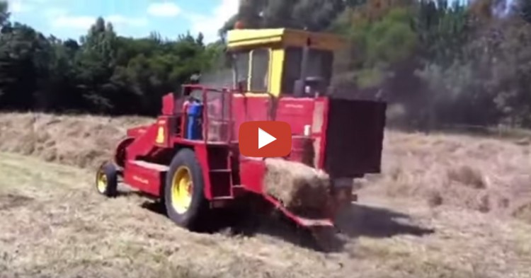 New holland 1426 self propelled small square baler