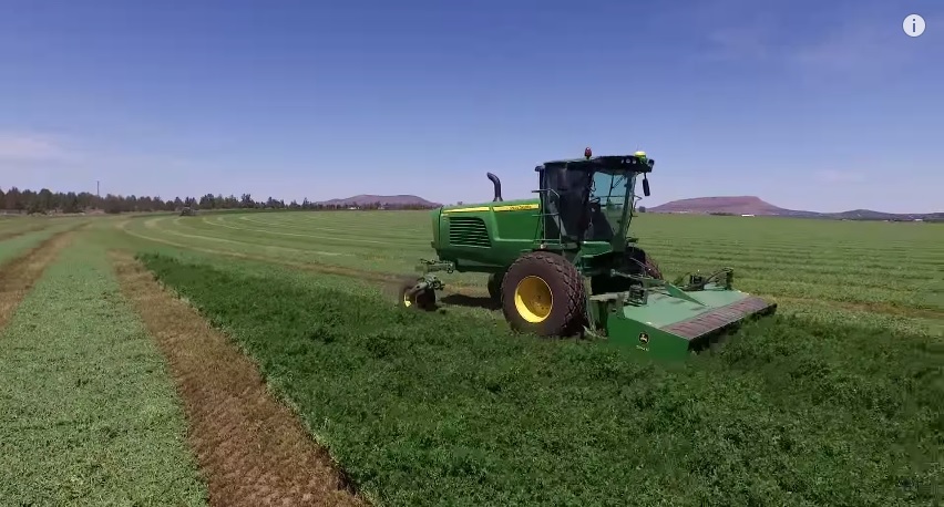 John Deere 995 Rotary Platform Swather in Culver Oregon on Deines Farms ...