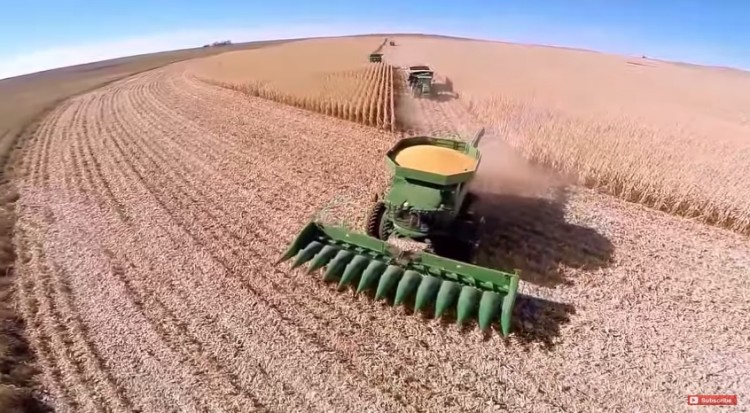 Wheat, Corn Big Harvest In The World 2015