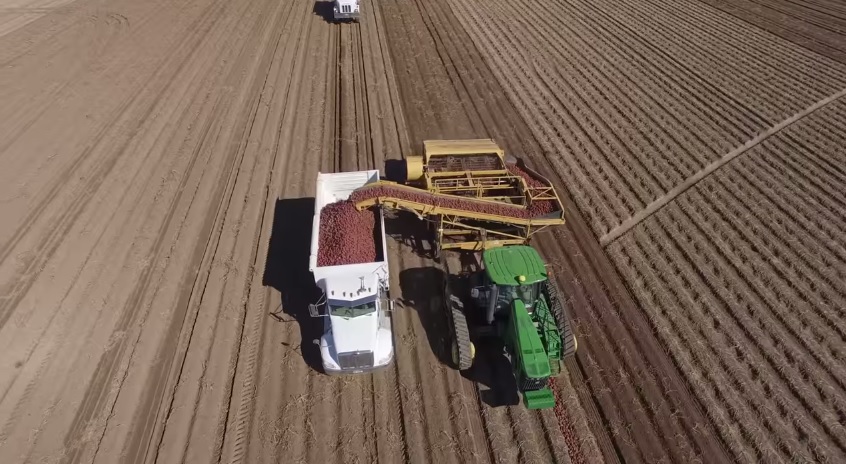 Raybould Brothers Idaho Potato Harvest 2015. -Travis Blacker-
