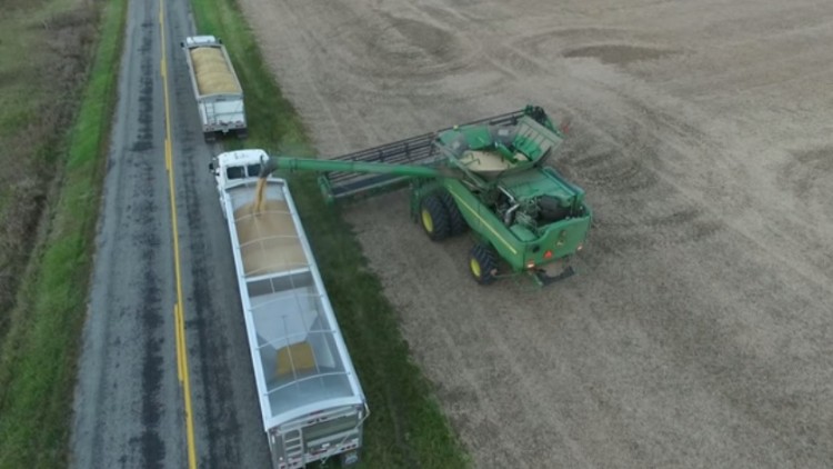 2015 Border View Farms Soybean Harvest