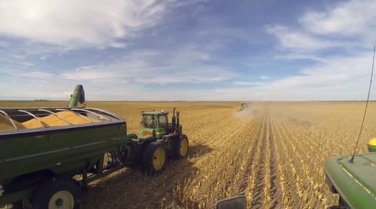 2015 Nebraska Dryland Corn Harvest - GoPro -Jason Kepler-