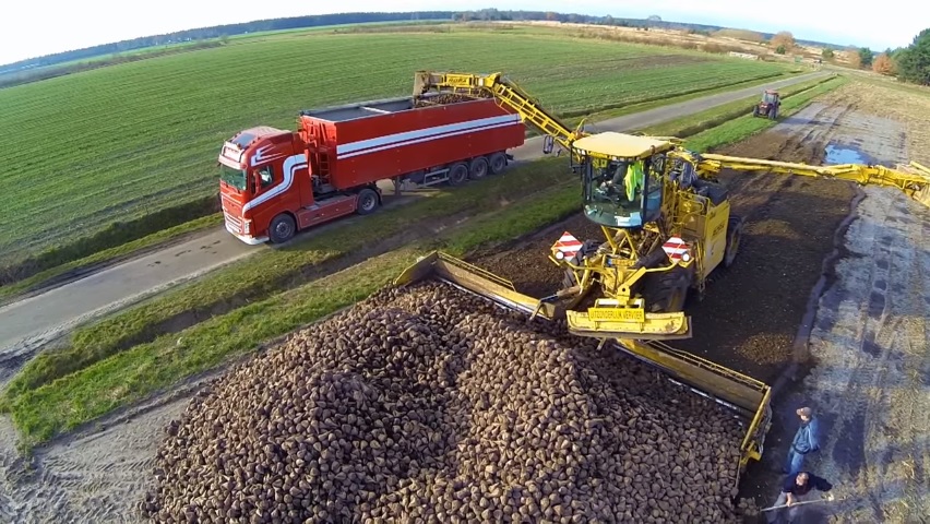 ROPA EURO MAUS 4 loading sugar beet