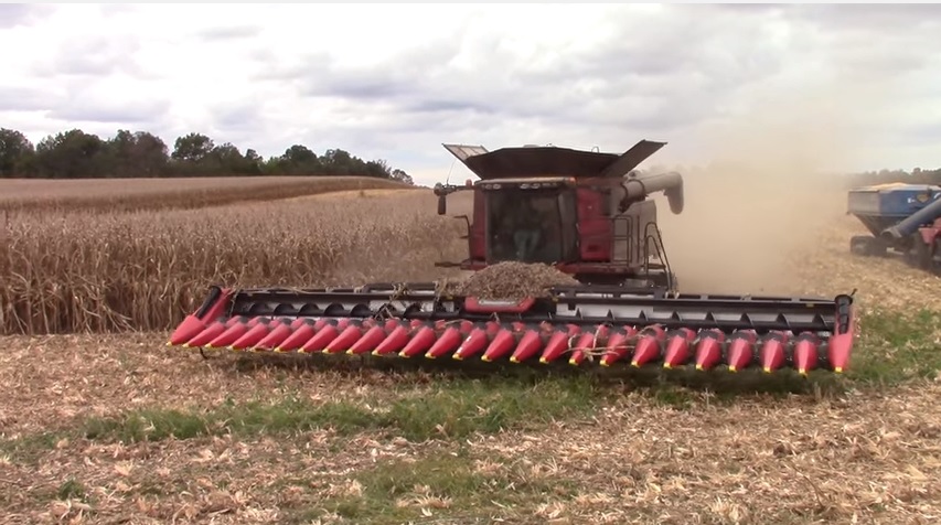 24 Row Corn Head Geringhoff Rota Disc