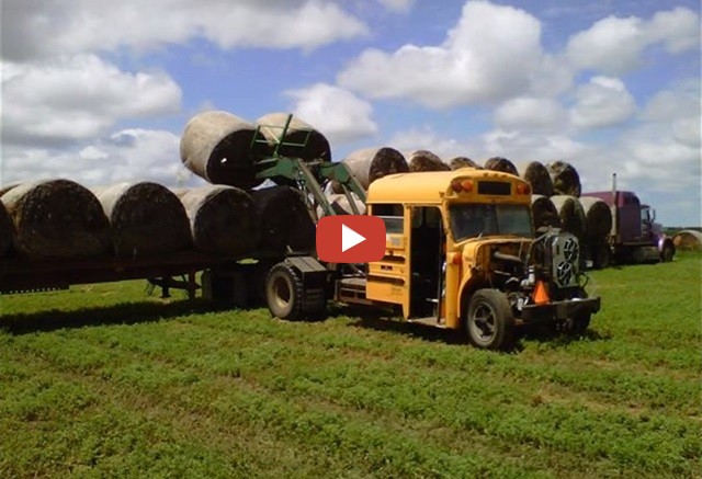 School Bus Turned into Hay Bale Loader on South Dakota Farm