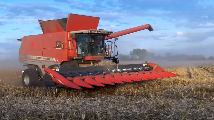 Massey Ferguson 9560 Combine with a 12 Row Corn Head north of Arcola ...
