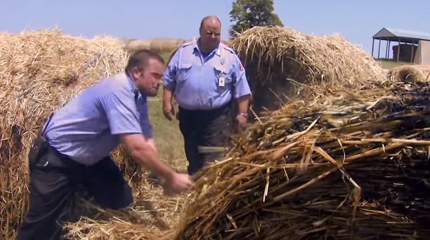 Dangers of hay fires.