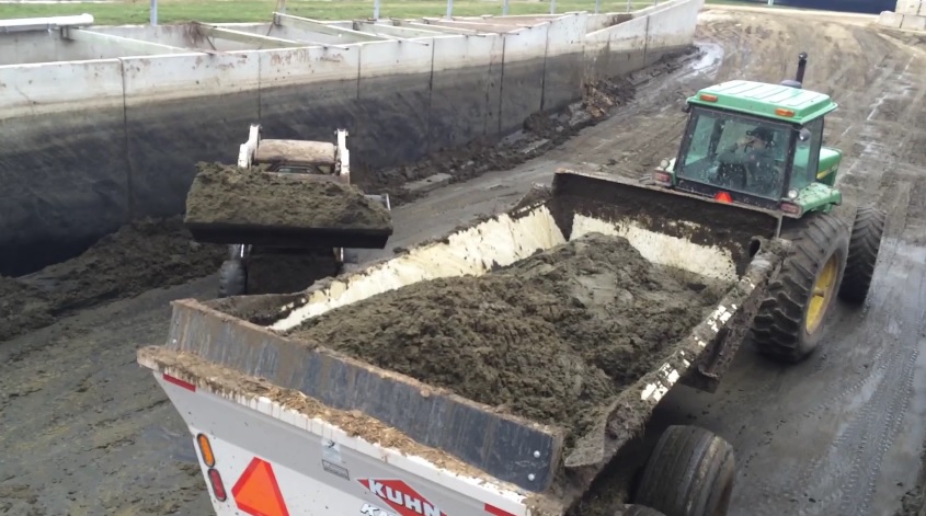 How to Clean out the manure. - Family Dairy Days-