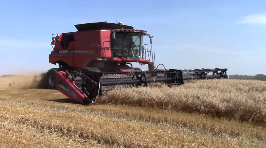 Case IH 9230 Tracked Combine Harvesting Wheat -- bigtractorpower