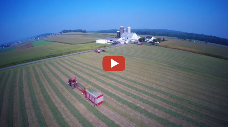 Clover Farms Dairy