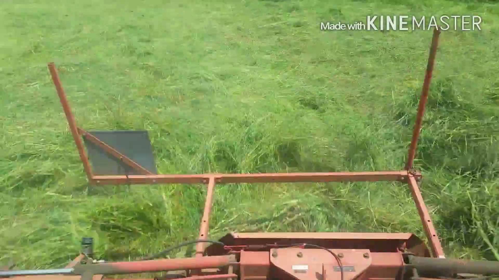 Tedding and baling hay for our Black Angus cattle -- The Farming Life